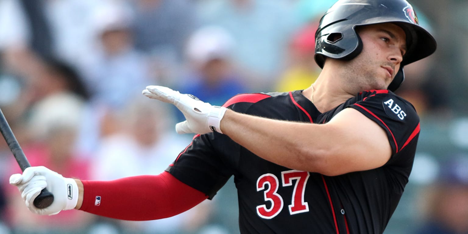 Daniel Palka slugs two homers for Rochester Red Wings | MiLB.com