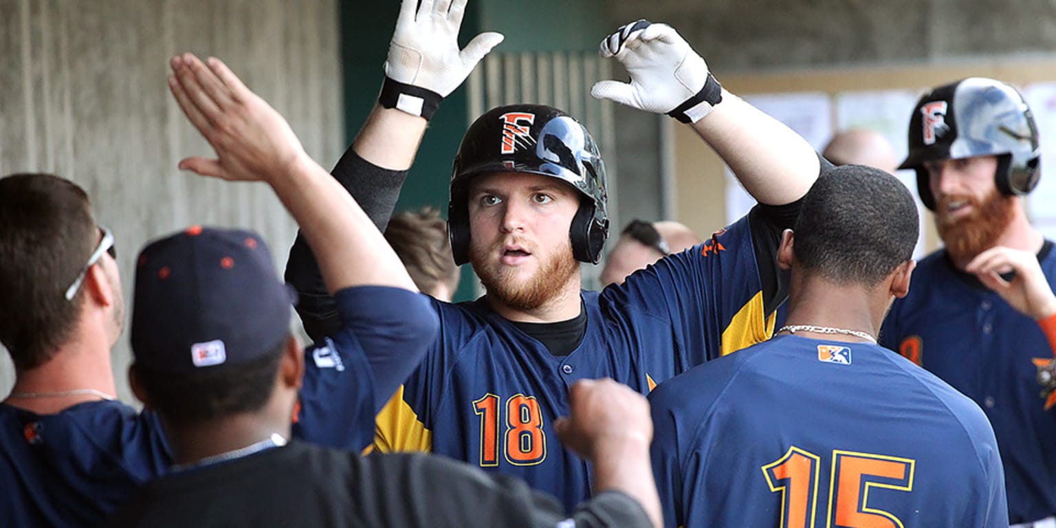 Houston Astros' A.J. Reed wins 2017 Bauman Award | MiLB.com