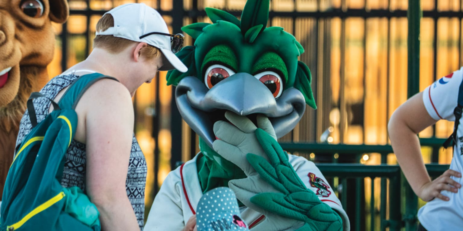 SPECIAL BULLETIN: Lou E. Loon is Going on the Roof | MiLB.com
