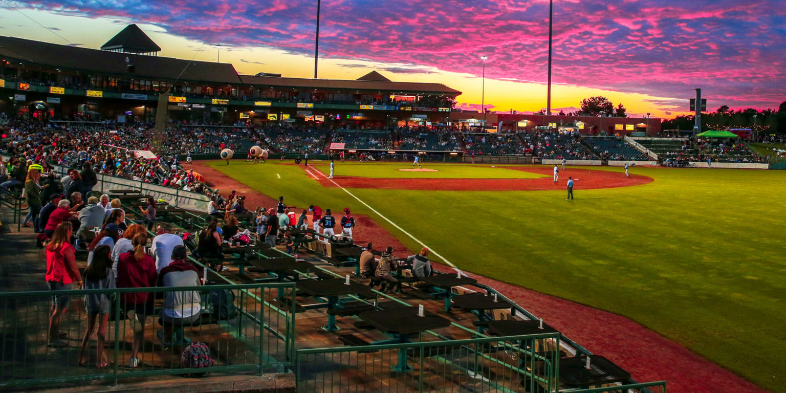 Homestand Promo Preview: August 31 - September 3 | MiLB.com