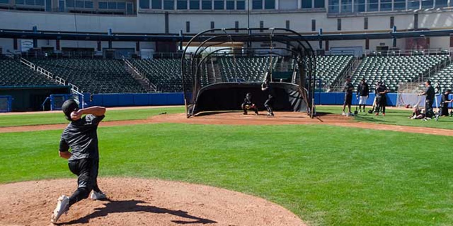 Toros con buena forma en entrenamientos | MiLB.com