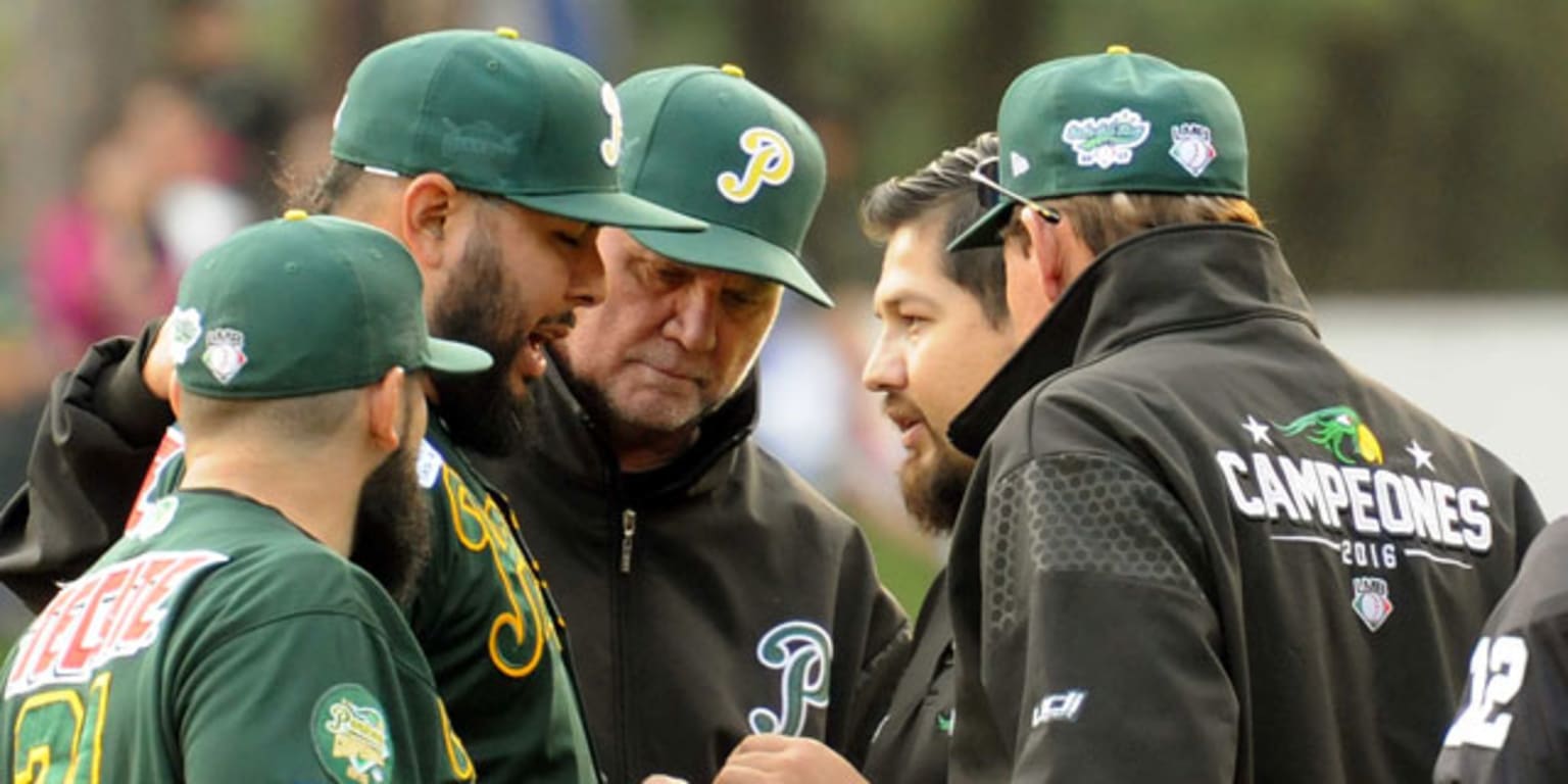 Pericos se mantiene con vida | MiLB.com