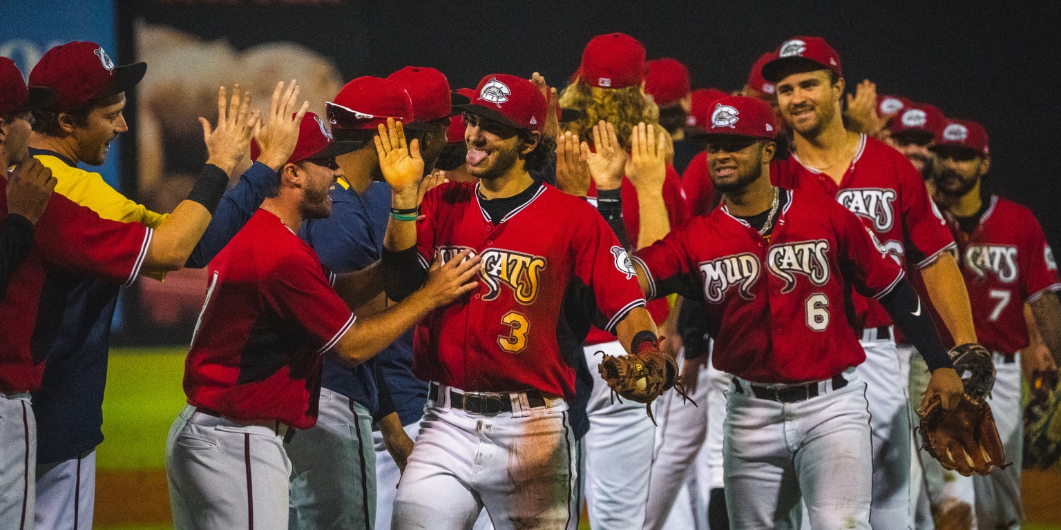 Carolina Rallies for Series Tying 8-6 Victory | MiLB.com