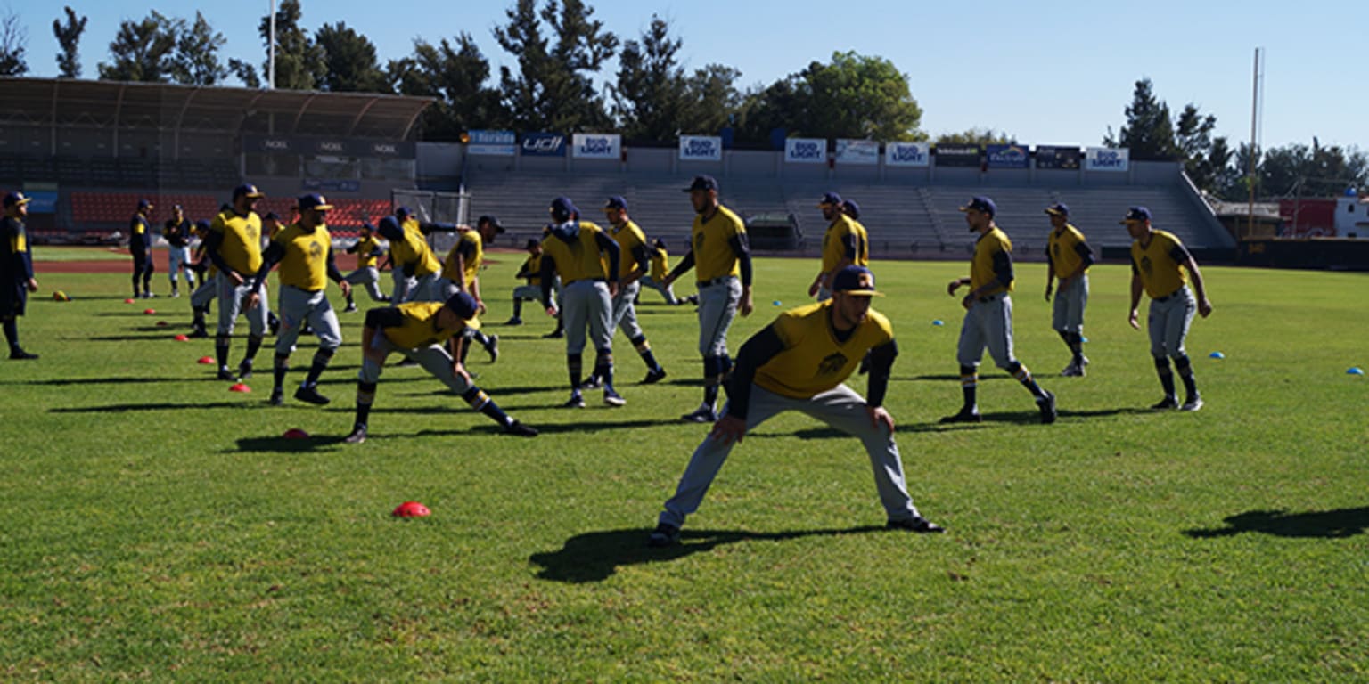 Listo Alex Sanabia para el reto con Rieleros | MiLB.com