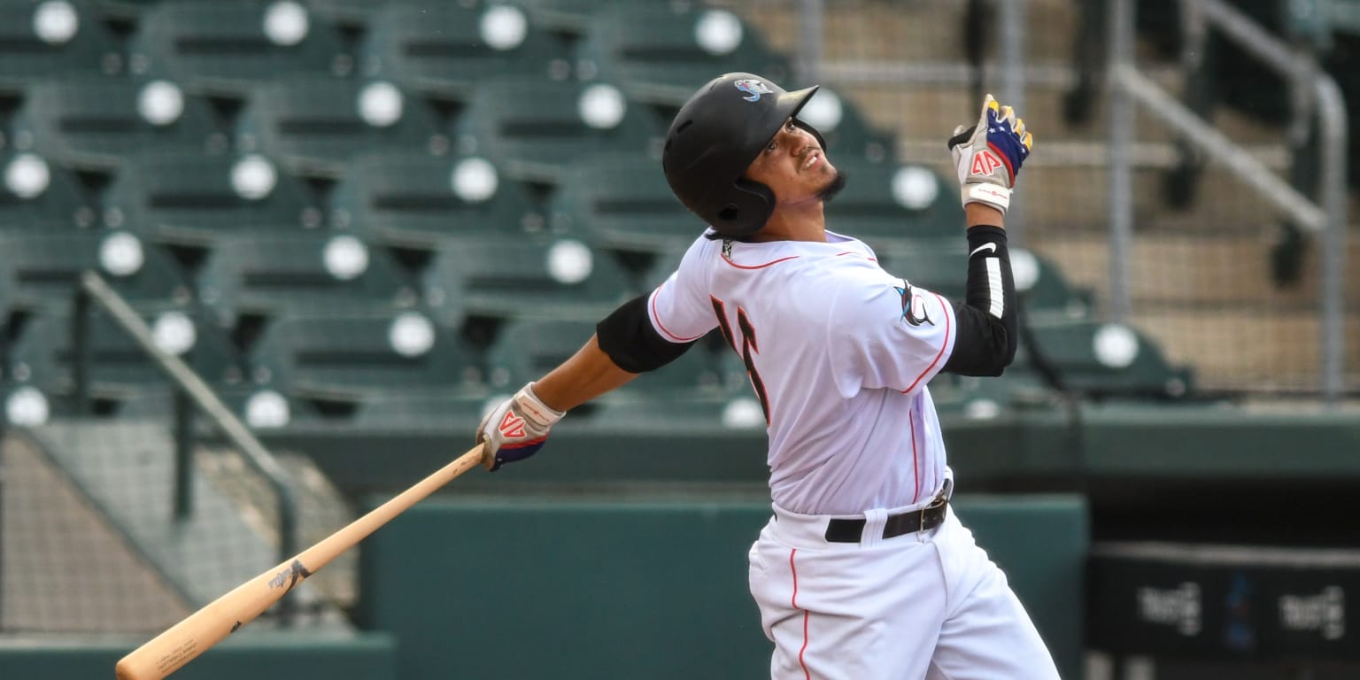 Hammerheads Clinch Opening Series | MiLB.com