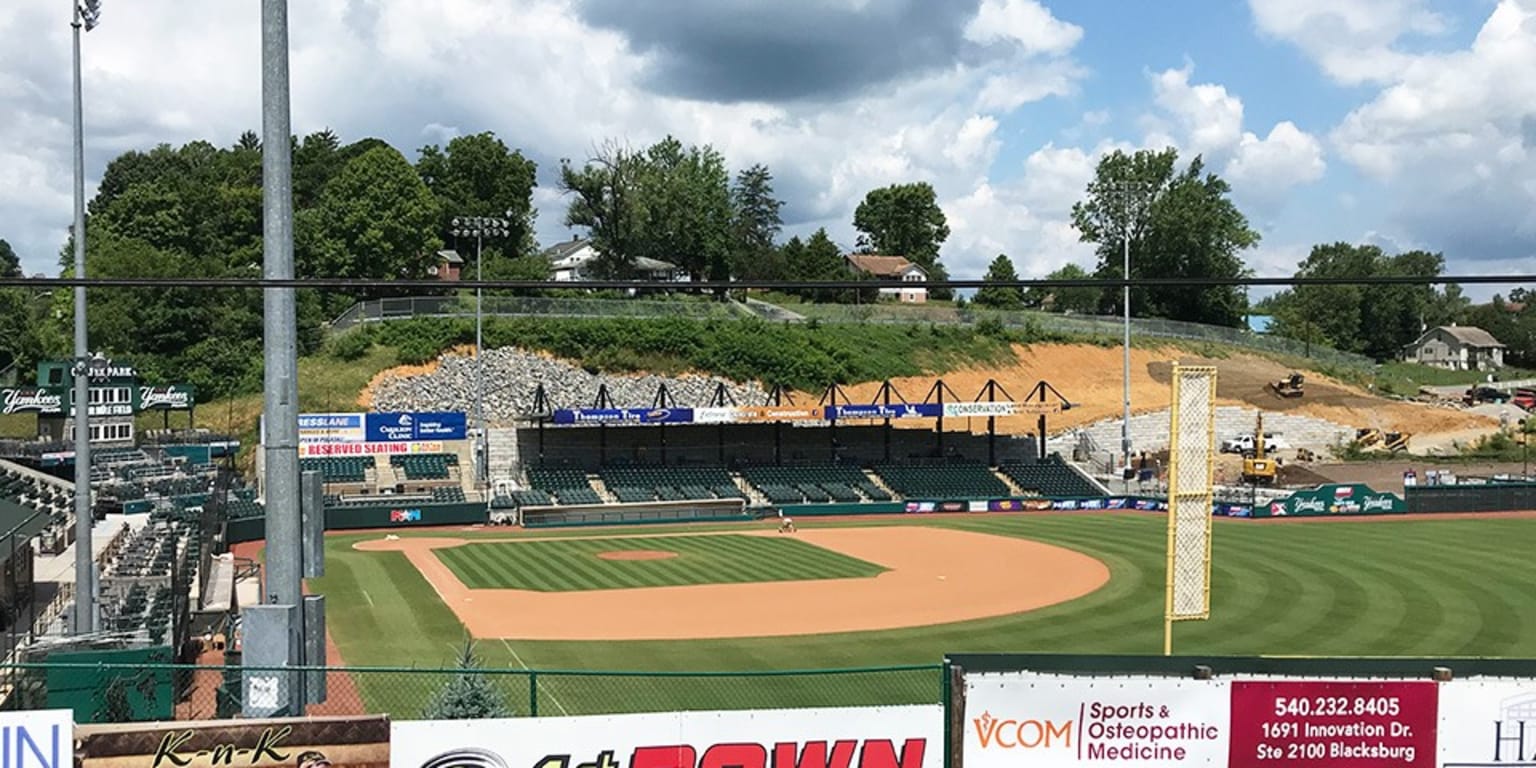 Pulaski's Calfee Park named Appalachian League Field of the Year | MiLB.com