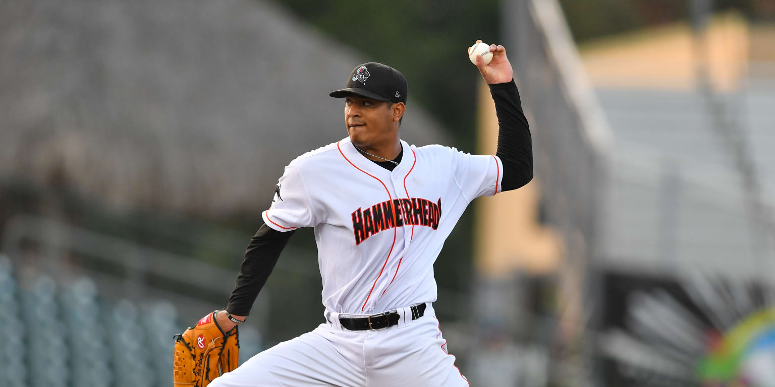 Luis Palacios Dominates, Hammerheads Win Opener | MiLB.com