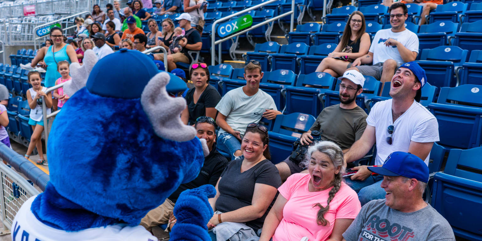 Blue Wahoos Job Fair | Blue Wahoos