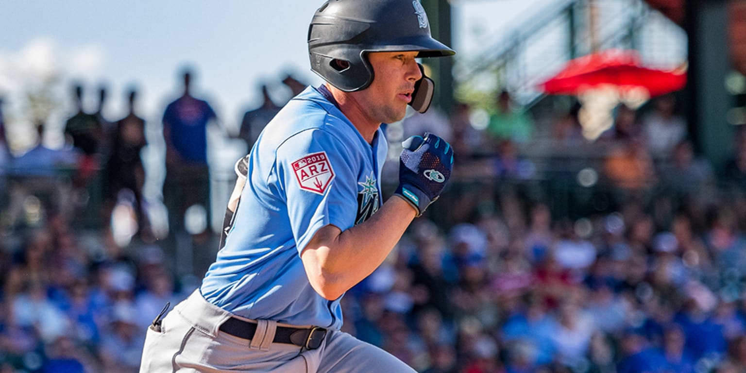 Adam Law swings for the fences against coronavirus | MiLB.com