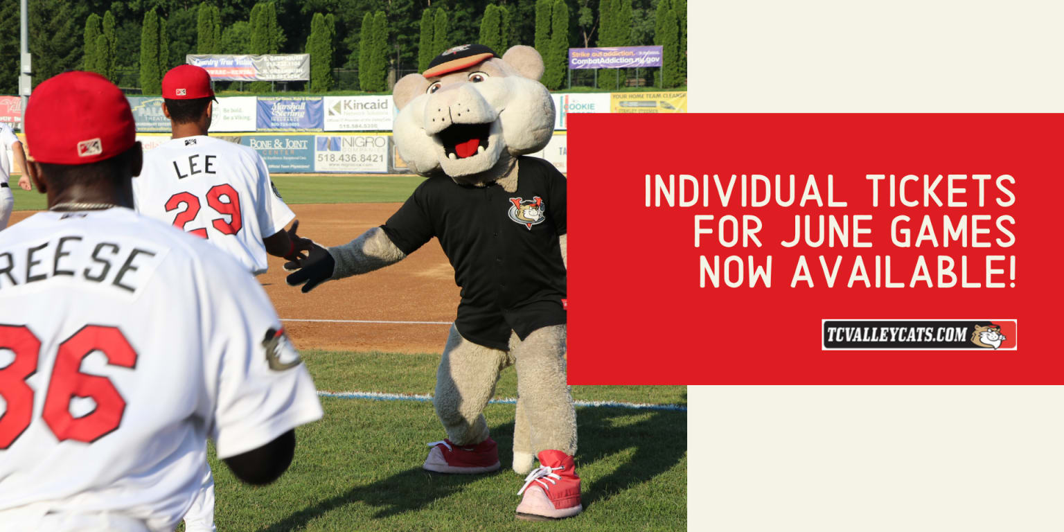 June Ticket On Sale | MiLB.com