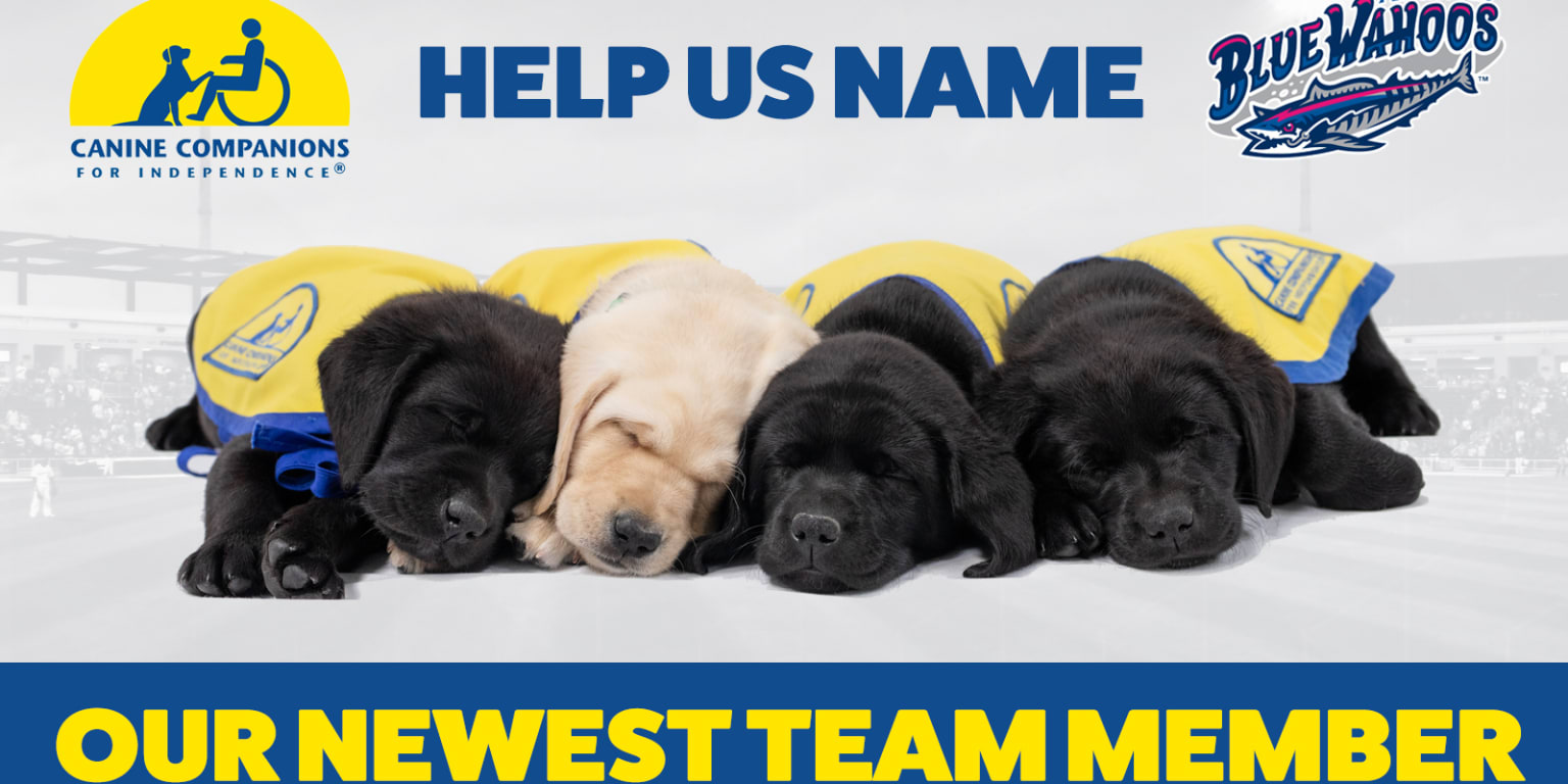 Blue Wahoos Dog | MiLB.com