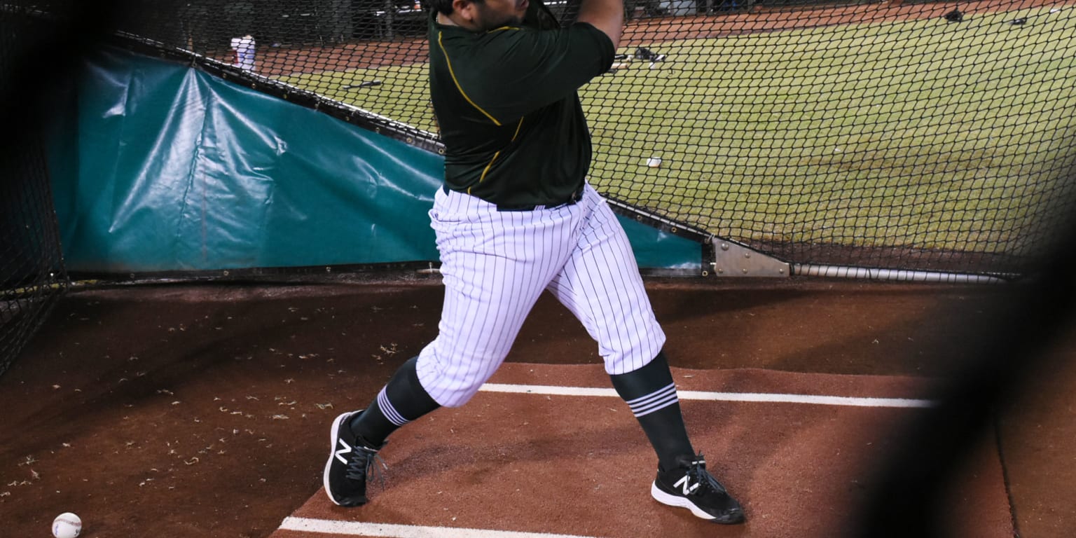 Se abre fuego en siete plazas de la LMB | MiLB.com