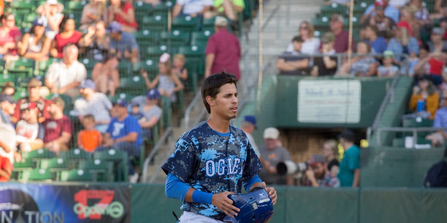 Ogden Falls in Finale | MiLB.com