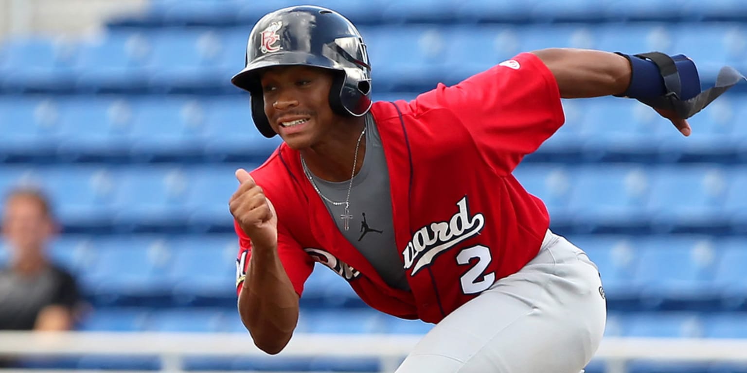 Brewers' Ray limited at Spring Training | MiLB.com
