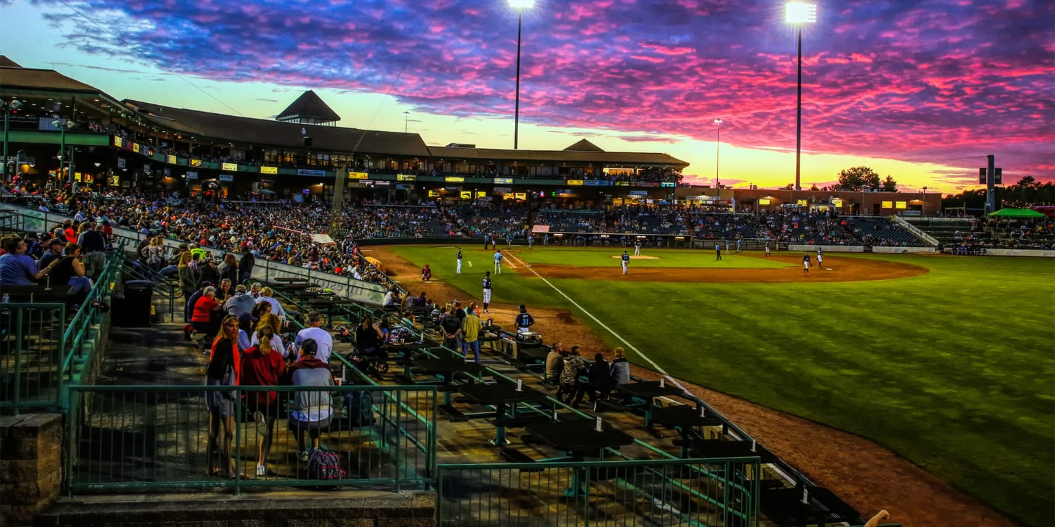 Homestand-Promo-Preview-August-17-22 | MiLB.com