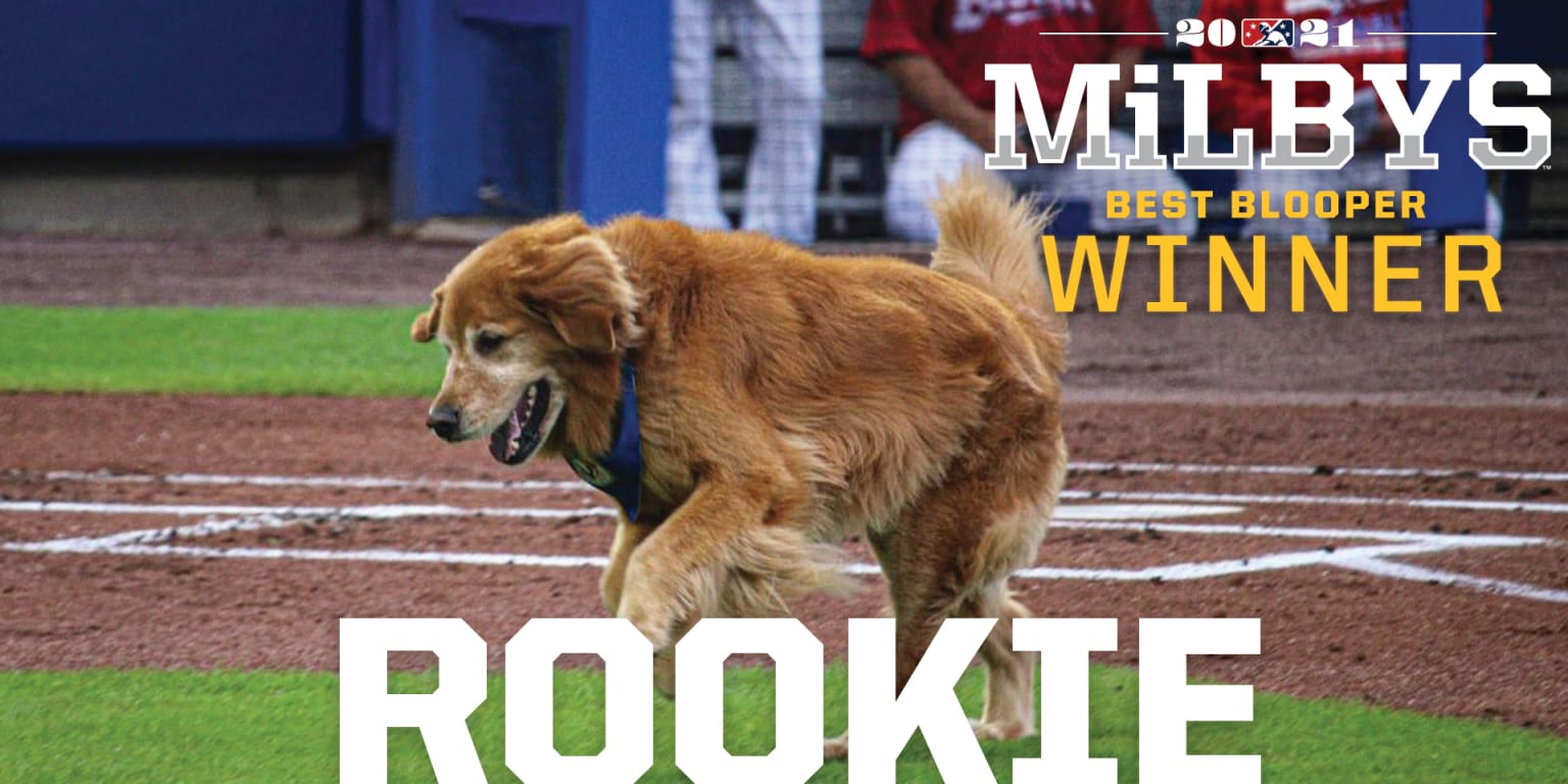 Rookie wins 2021 MiLBY | MiLB.com