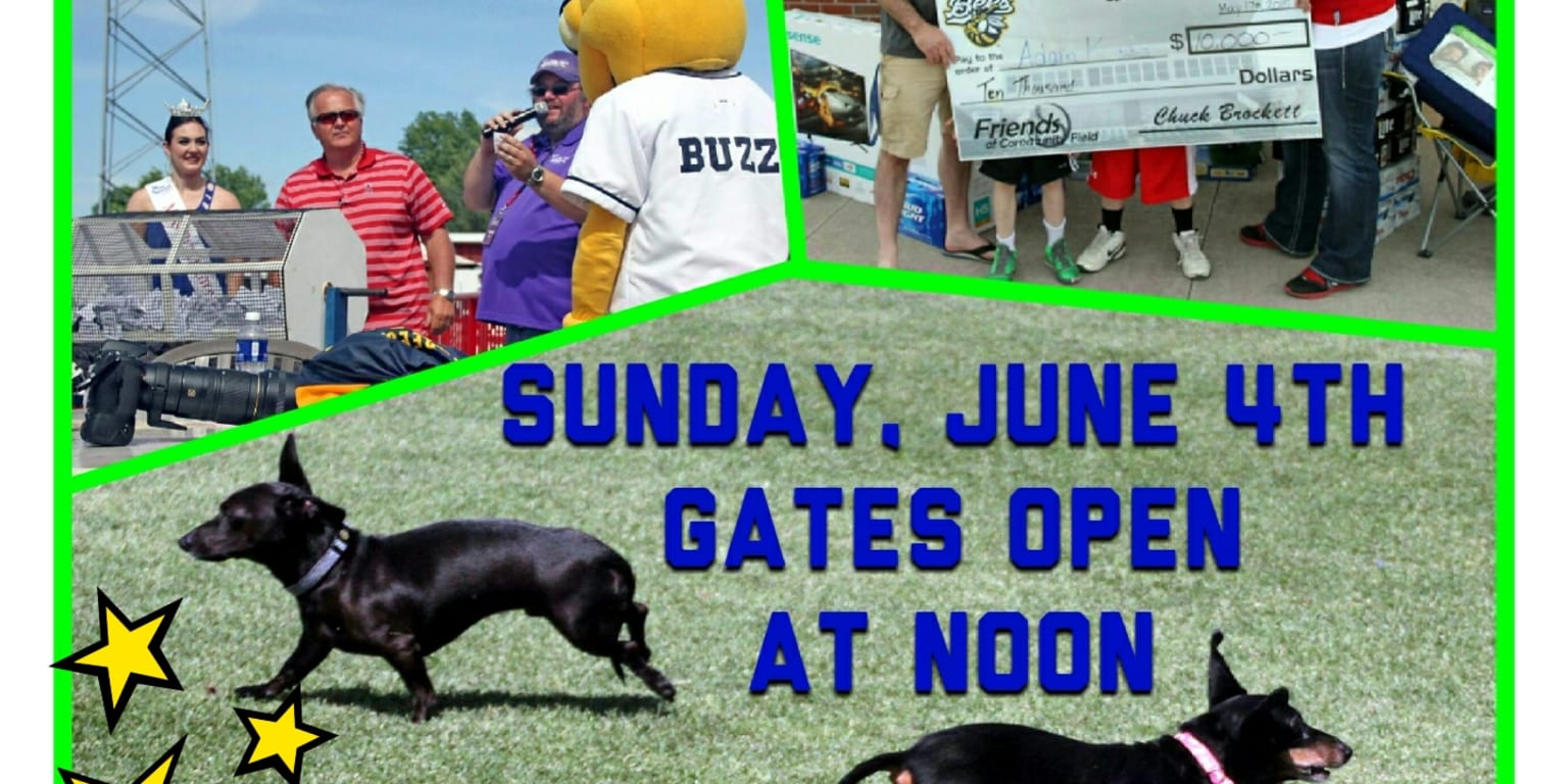 Community Basket Day 2017 | MiLB.com