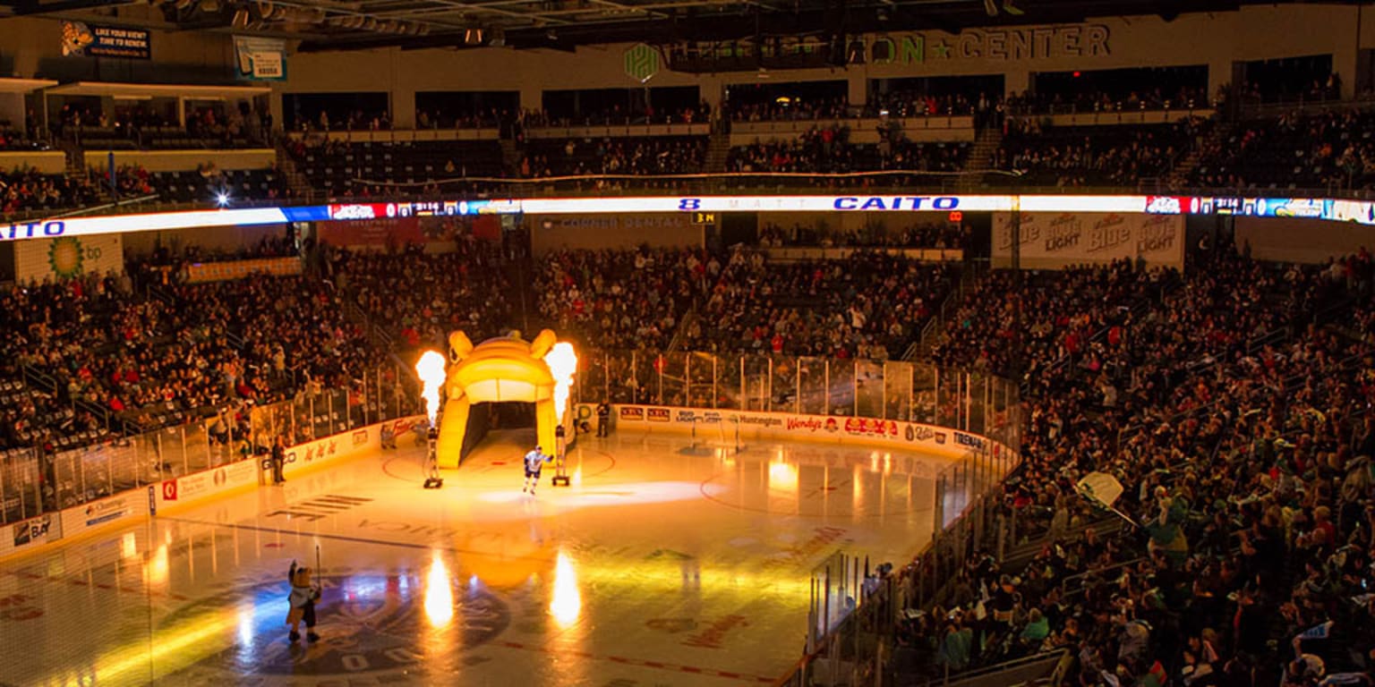 You gotta try out a Toledo Walleye game | MiLB.com