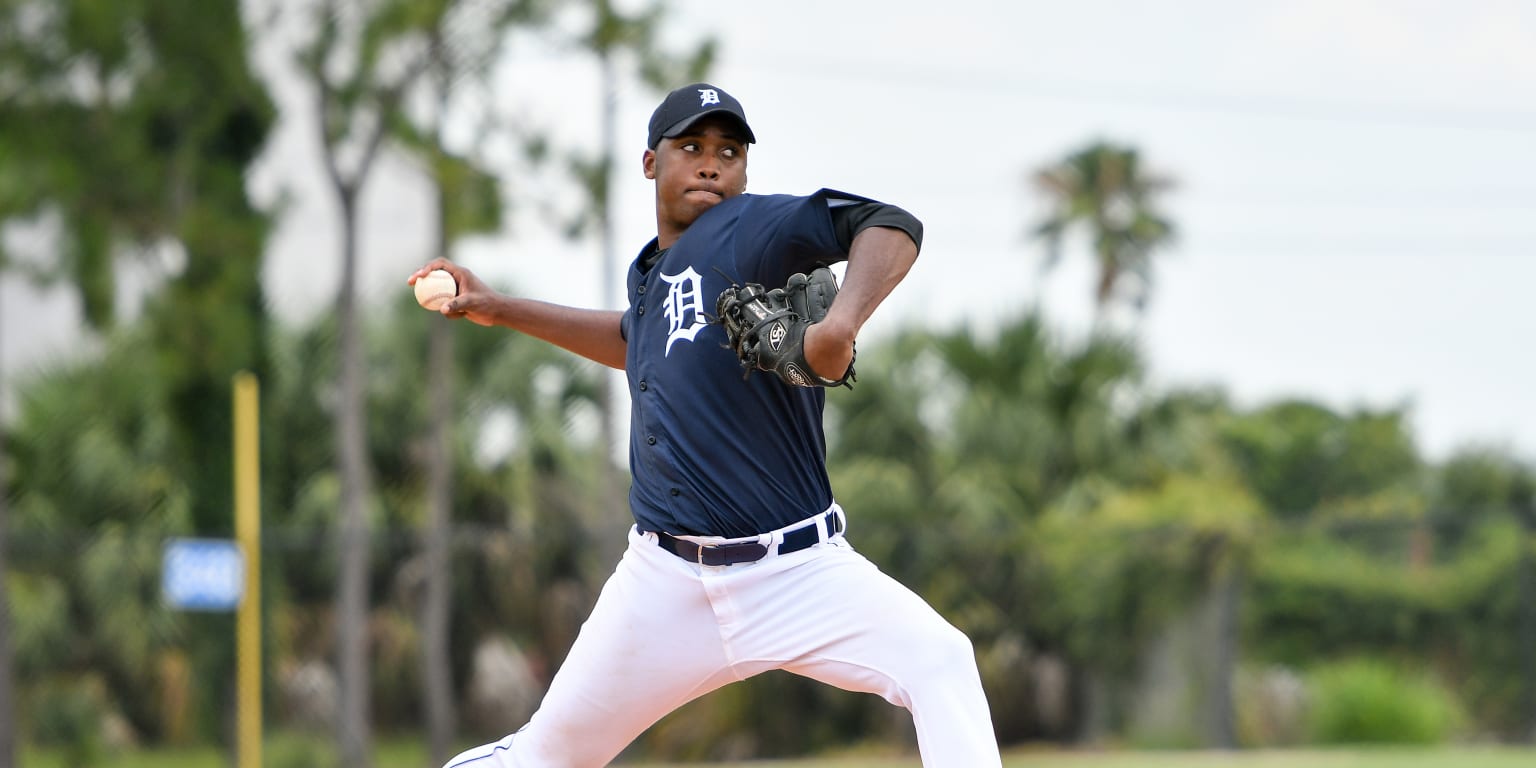 Chavez Fernander, bats lead Gulf Coast League Tigers West to title ...