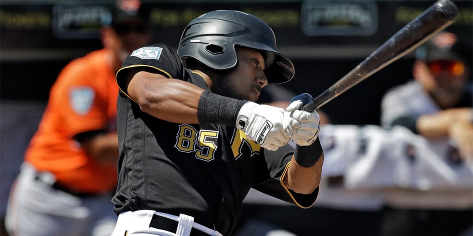 Big leaguer for a day, former BriBuc hits 2 HRs | MiLB.com