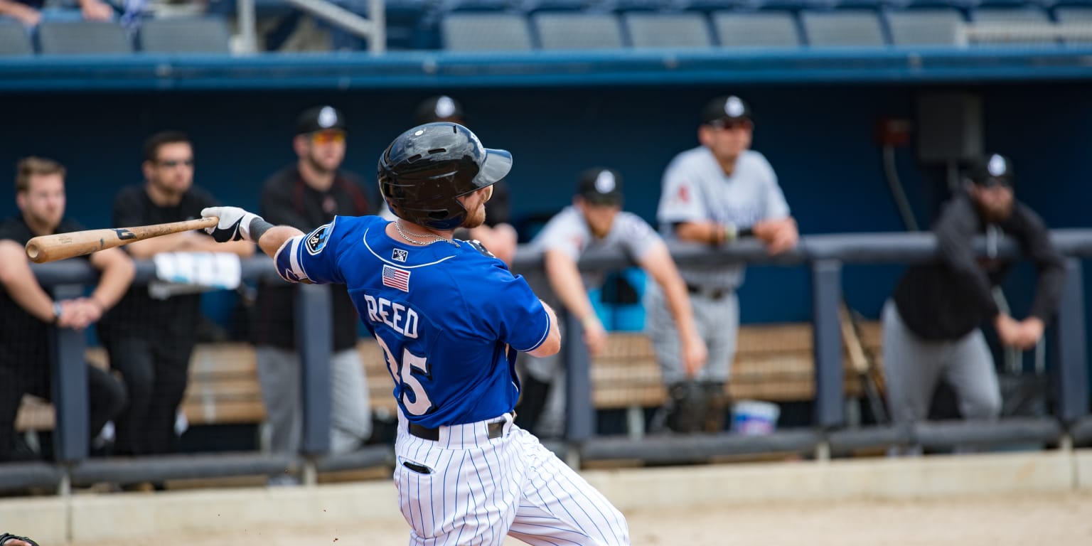 Michael Reed activated from 7-day DL | MiLB.com
