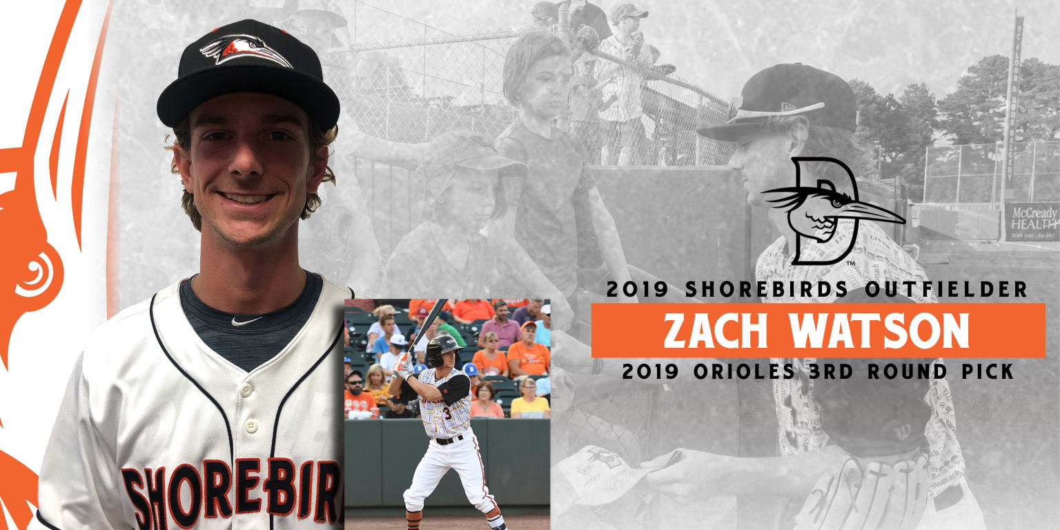 Player Feature: Zach Watson - Delmarva | MiLB.com