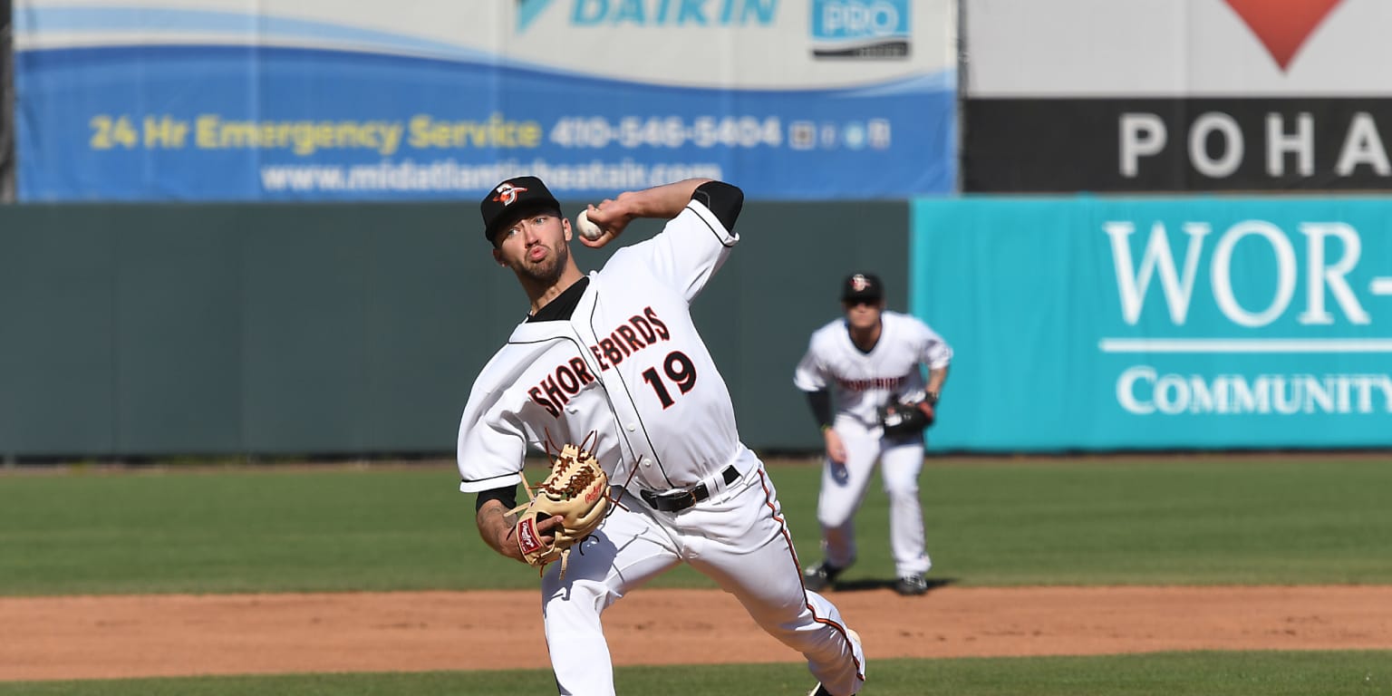 Rom, 'Birds Blot Out Suns | MiLB.com