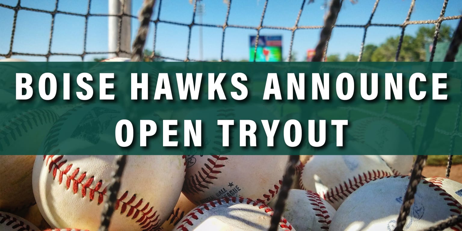 Open Tryout | MiLB.com