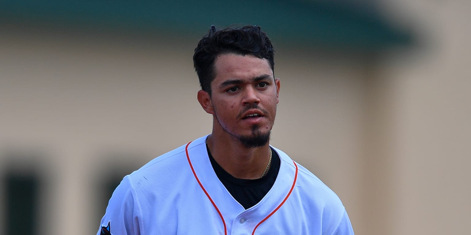 Hammerheads Drop Series Opener to Mets | MiLB.com