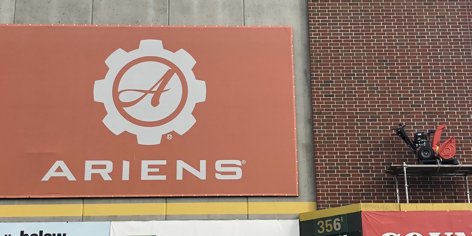 Fans to Be Blown Away by New SeaWolves, Ariens Promotion | MiLB.com