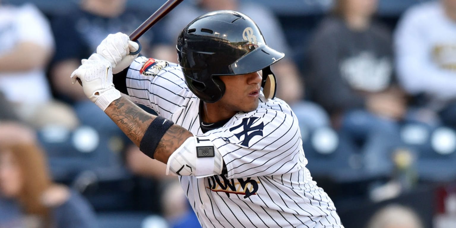 Yankees prospects Gleyber Torres posts another three-hit game | MiLB.com