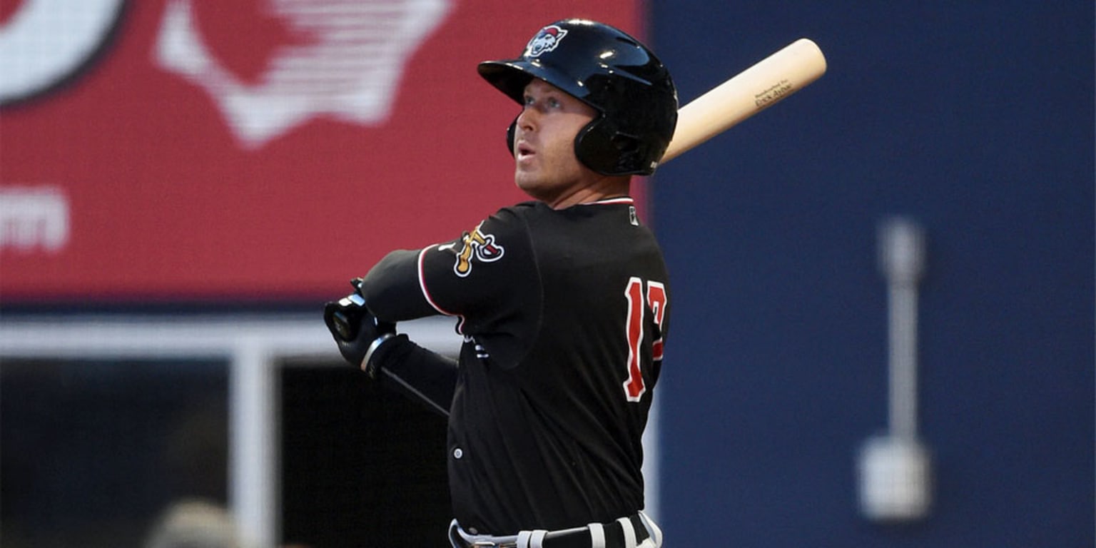 Detroit Tigers' Mike Gerber launches pair of homers | MiLB.com