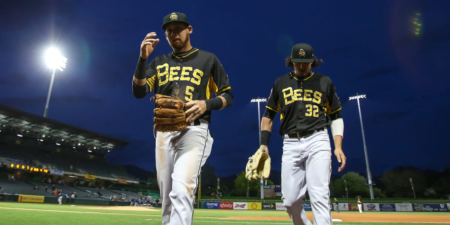 Bees Host Las Vegas For Five Games | MiLB.com