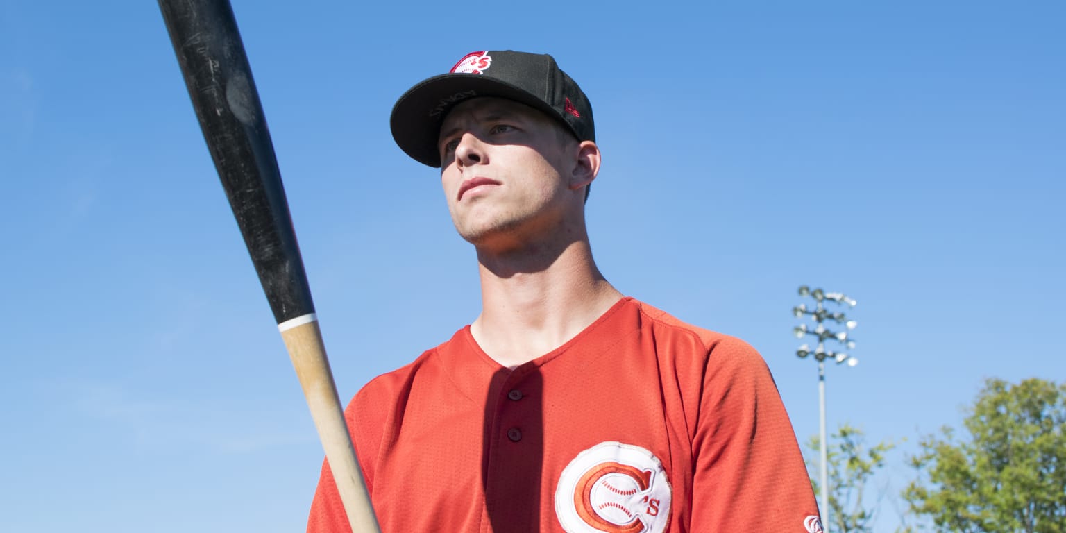 Toronto Blue Jays' Riley Adams packs offensive punch | MiLB.com