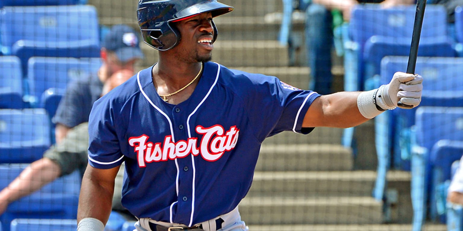 OF Jonathan Davis joins Bisons | MiLB.com