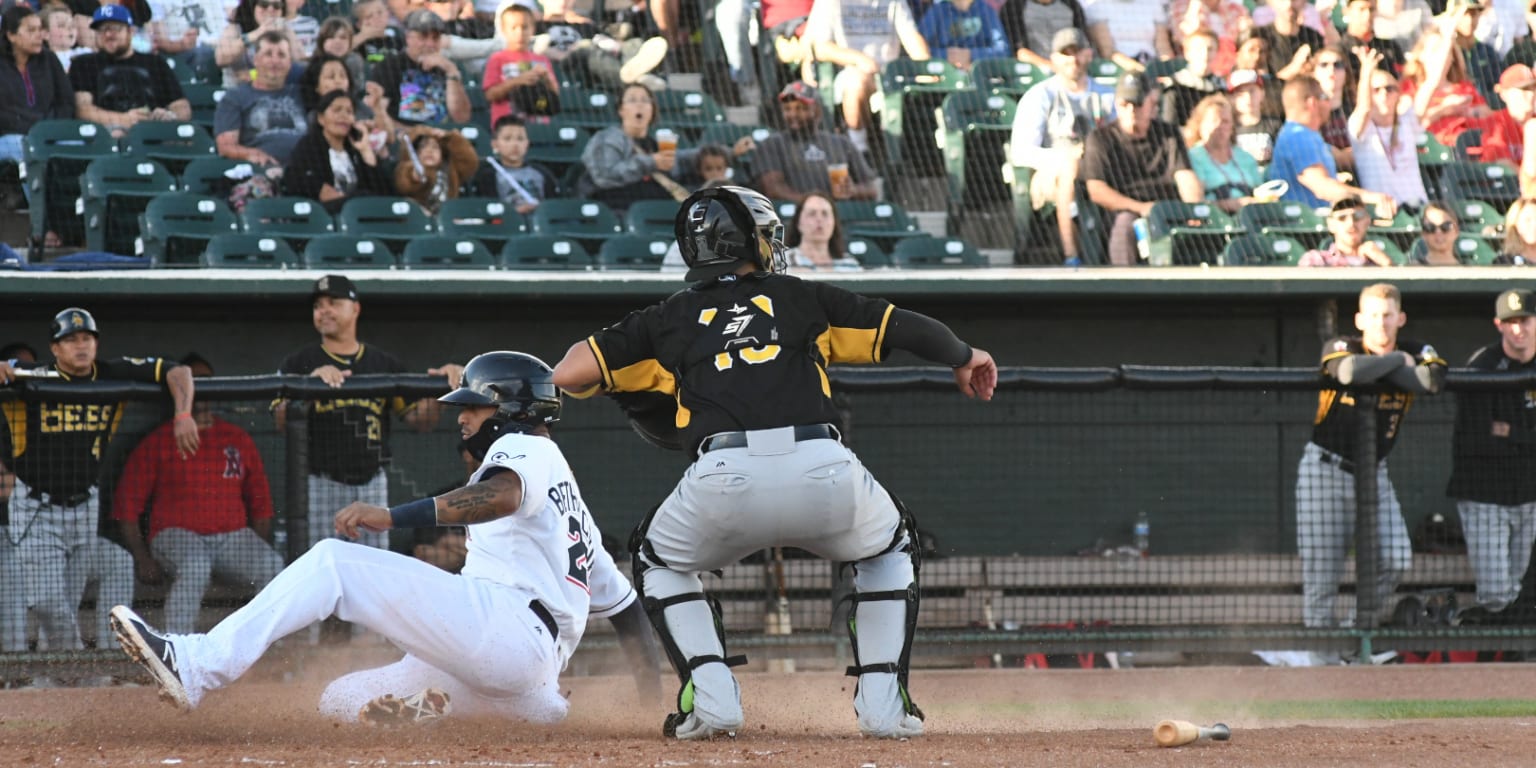 SKY SOX FALL TO BEES IN SERIES OPENER SATURDAY | MiLB.com