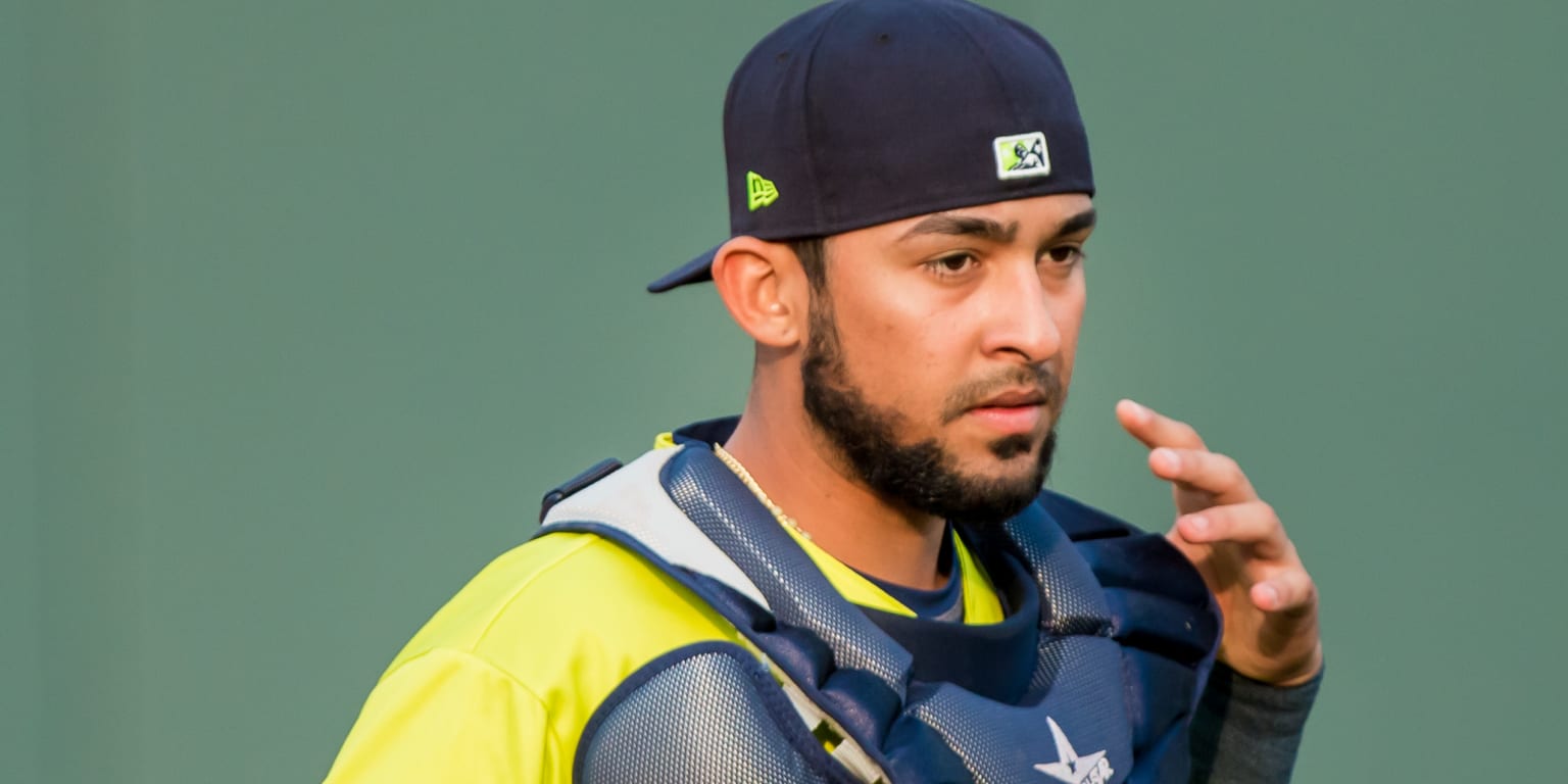 Ali Sanchez Drives in Three, Columbia Outlasted in Extras | MiLB.com