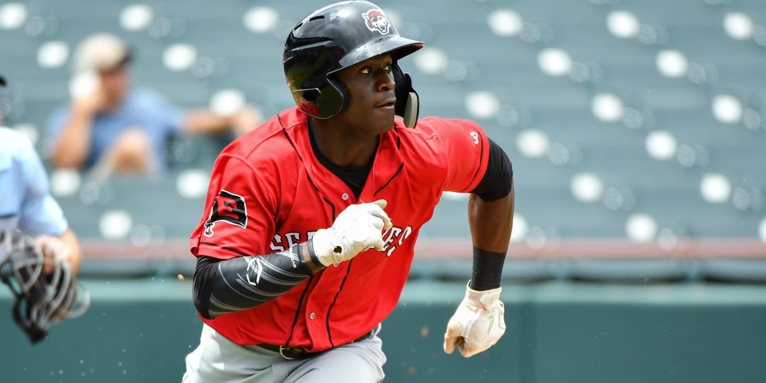 Detroit Tigers' Daz Cameron collects four hits, four RBIs, four runs ...