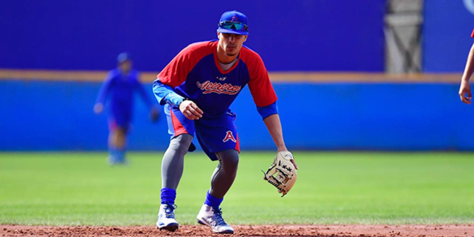 Noah Perio se incorpora al entrenamiento azul | MiLB.com