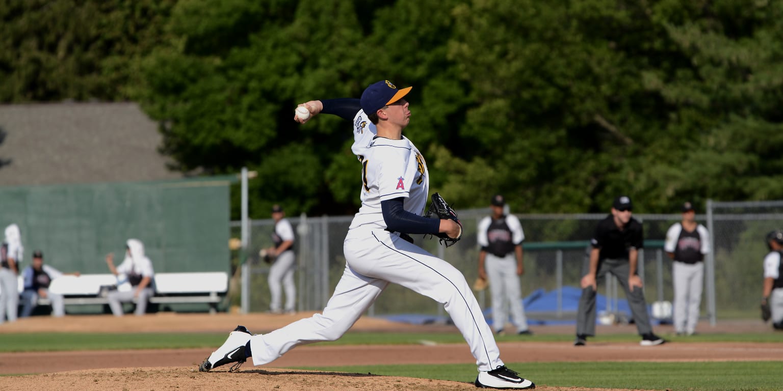 Bertness Stellar as Bees End Ski | MiLB.com