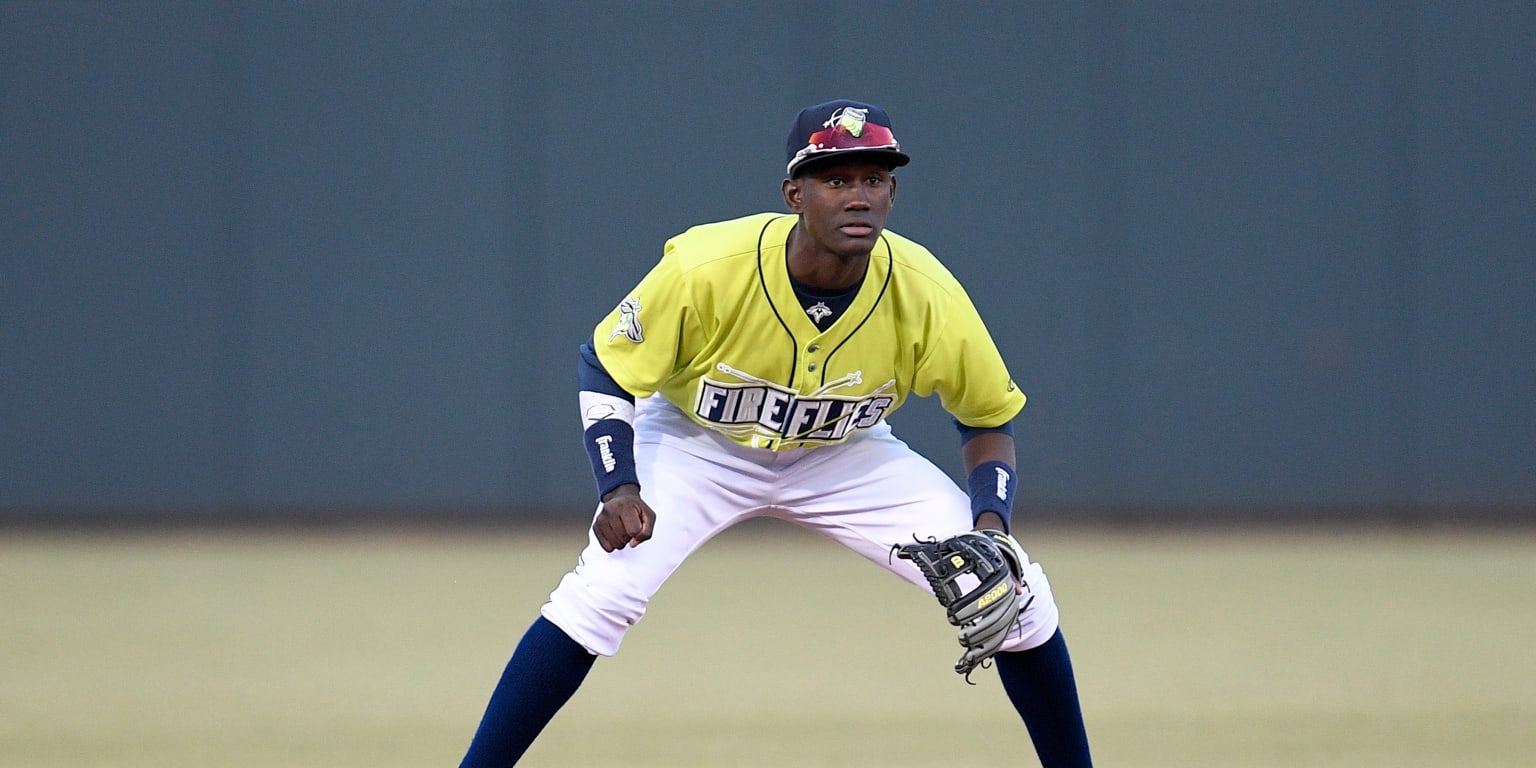 Mets Prospect Mauricio Reaches Four Times on Friday Night | MiLB.com