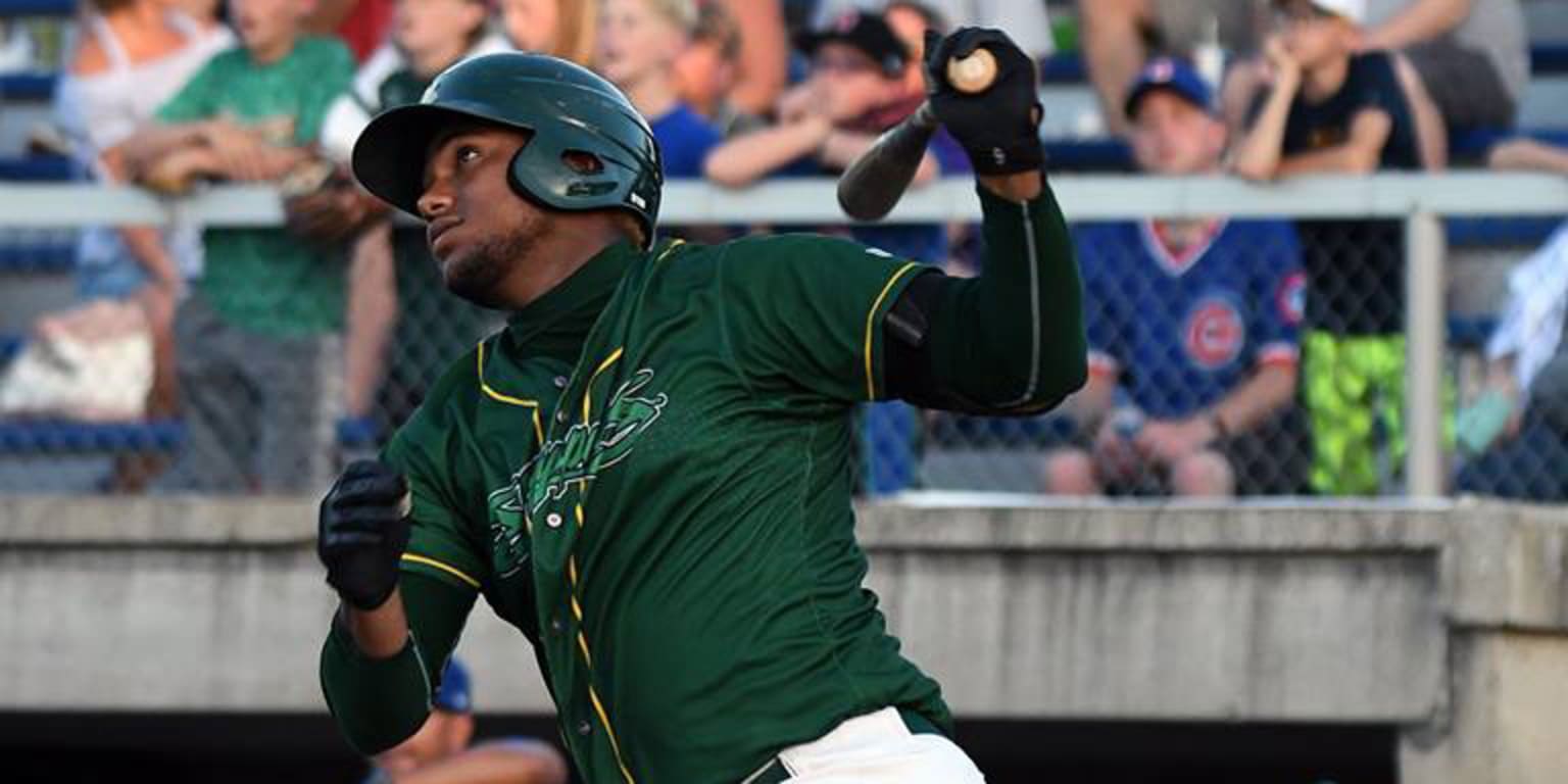 Snappers Stung By Bees In 6-4 Defeat | MiLB.com