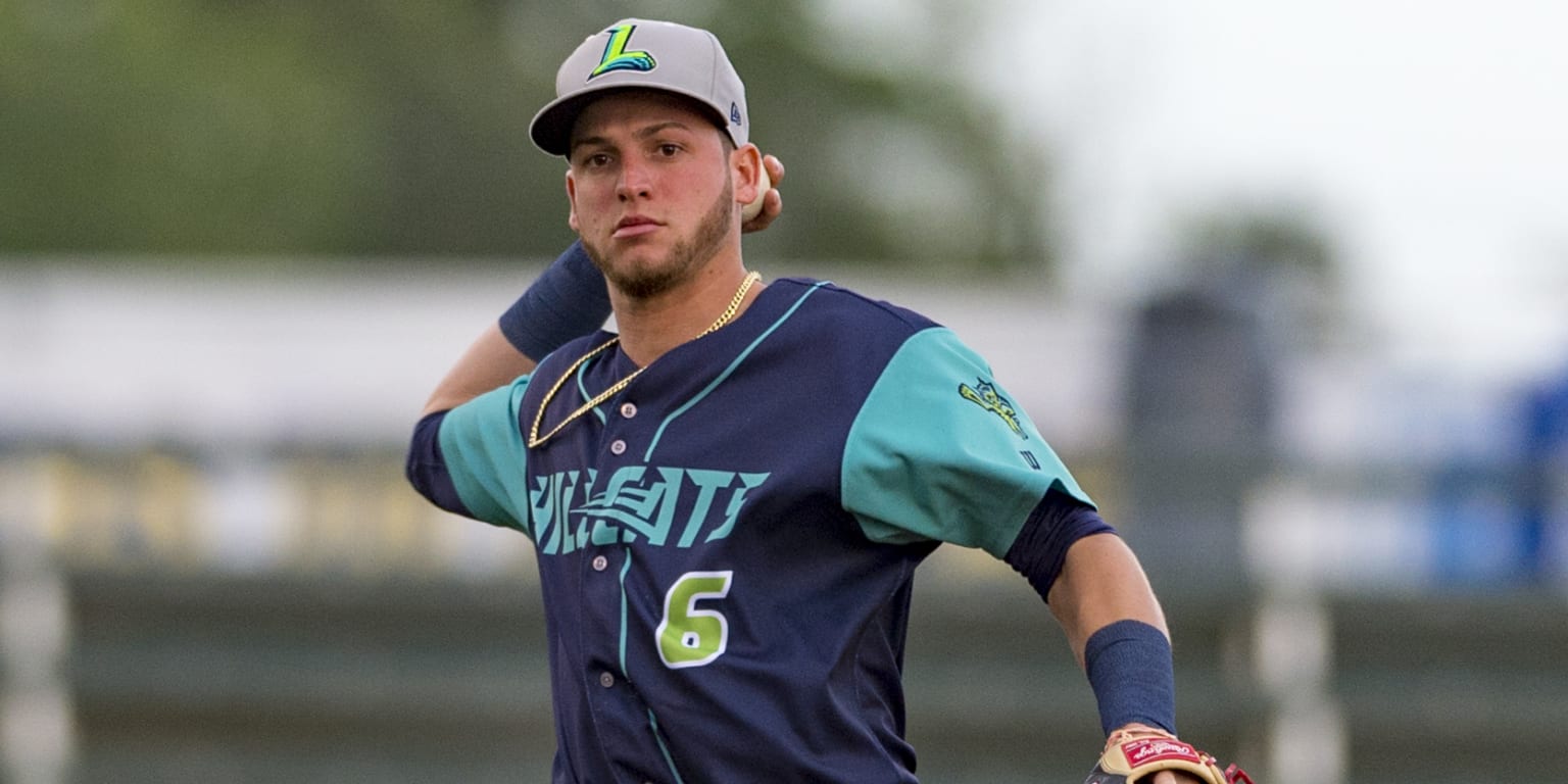 The Power of Turning Pro - A feature on Hillcats Alexis Pantoja | MiLB.com
