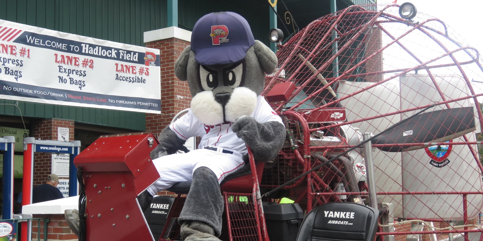 Sea Dogs to Host Maine Outdoors Night | Sea Dogs