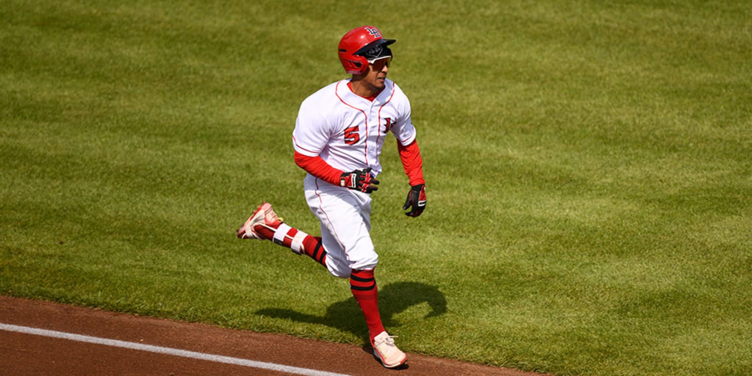 Bats Rally Late, Cruz Preserves Win to Beat Cubs 3-2 | MiLB.com