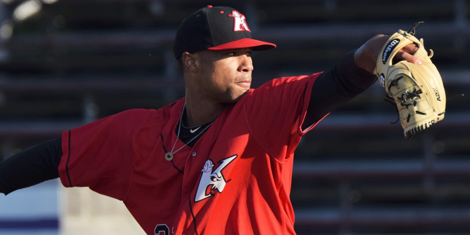 Kannapolis Intimidators clinch spot in South Atlantic League ...
