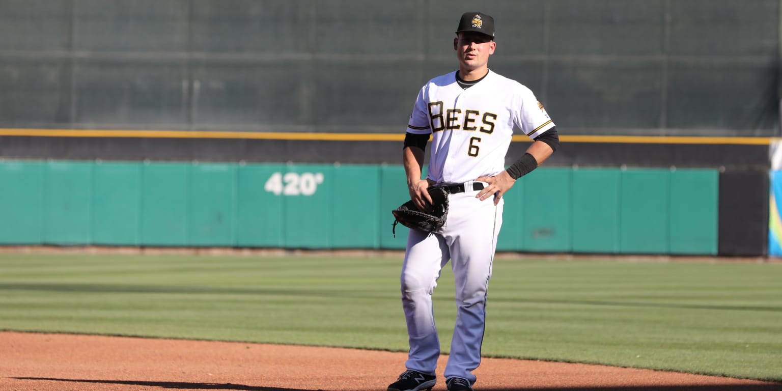 Series Preview: Bees Take On Tacoma | MiLB.com