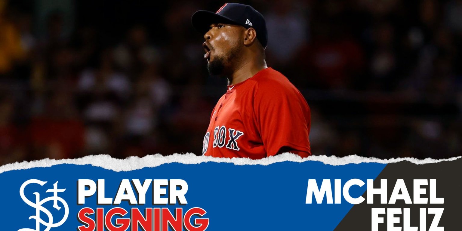 Minnesota Twins Sign Major League Experienced Pitcher Michael Feliz ...
