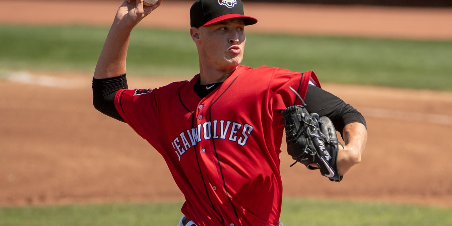 SeaWolves Go Duck Hunting on Friday | MiLB.com