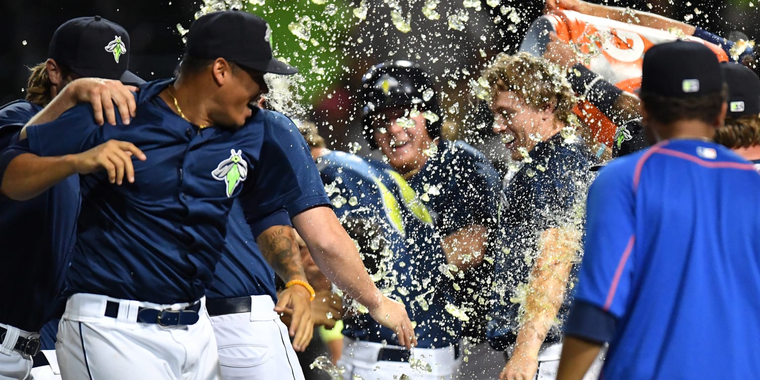 Fireflies Walk Off On Wild Pitch | MiLB.com